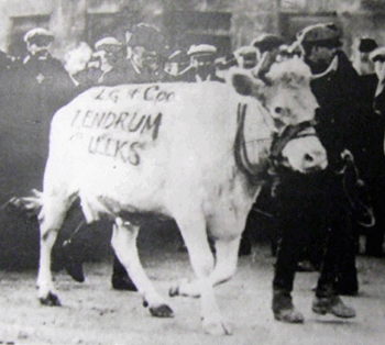 At Large in Caledonia: Foos Yer Doos? Aye, Peckin'!