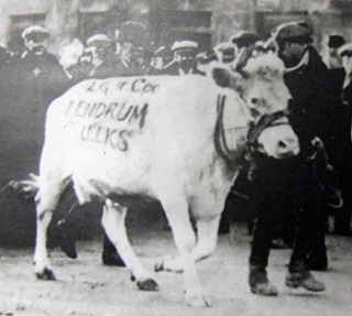 At Large in Caledonia: Foos Yer Doos? Aye, Peckin'!