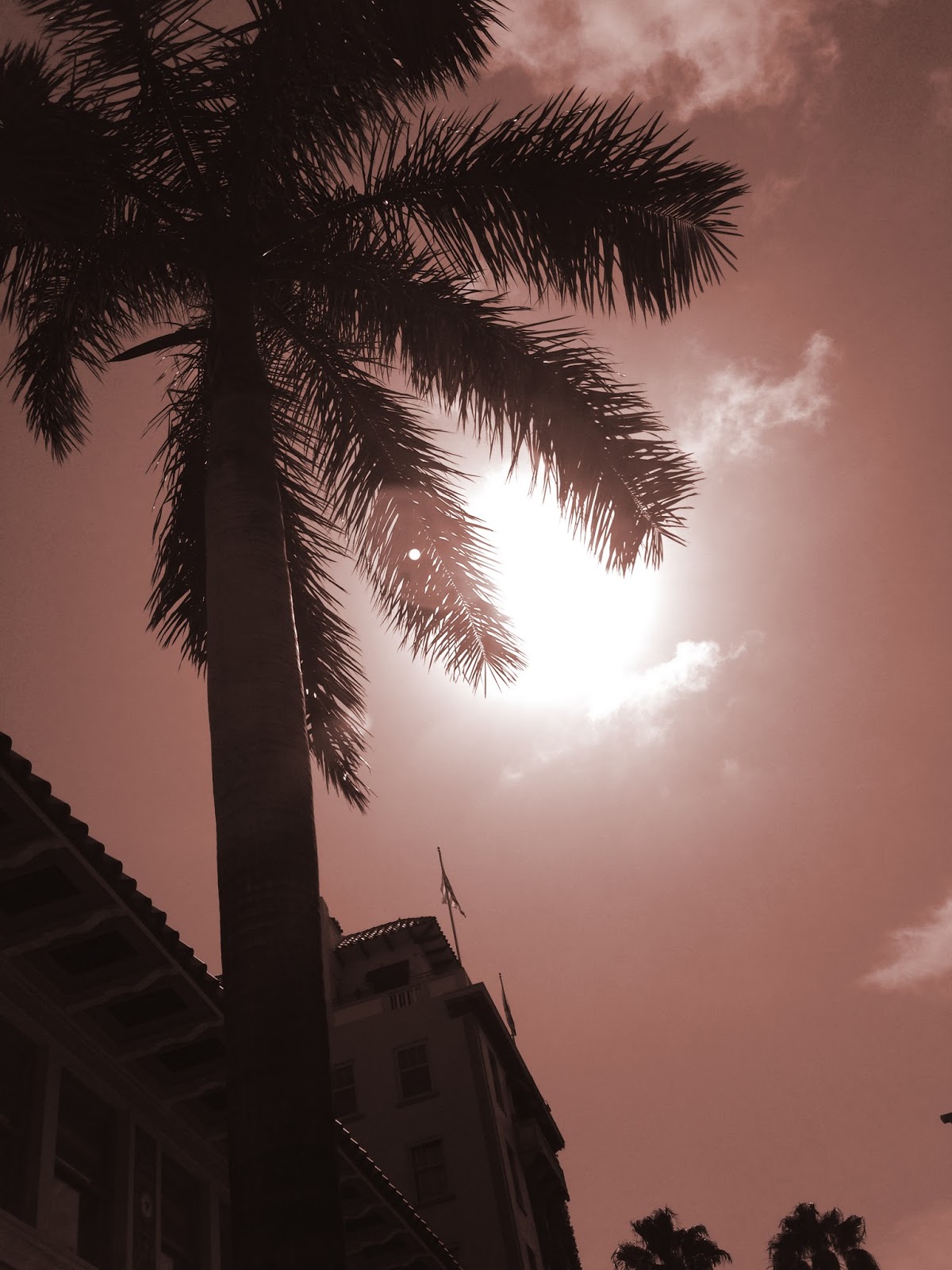 BDS 101 Design Blog: Keying the Color