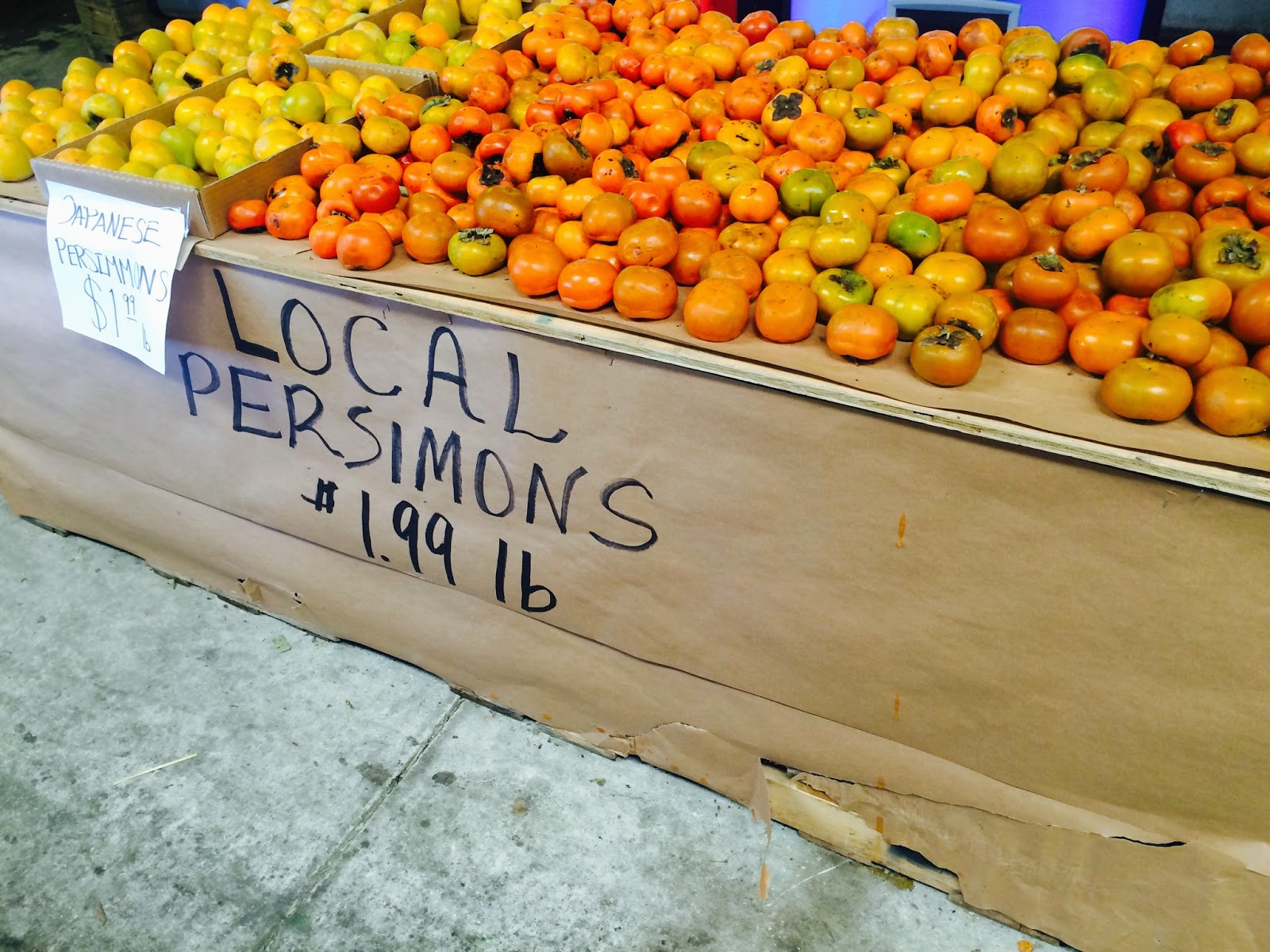 DAC-Art | Hurricane and Tornado Proof Concrete Stone Homes