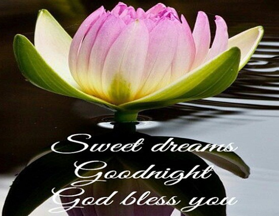 Download HD Good Night Flowers Images, Pictures, Wallpapers & Photos