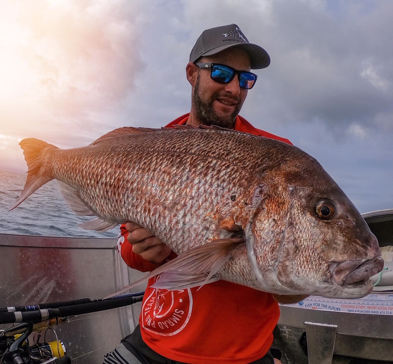 THE ROAD TAKEN : Thursday in Tryphena, Great Barrier Island