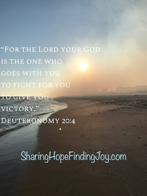 Deuteronomy 20:4