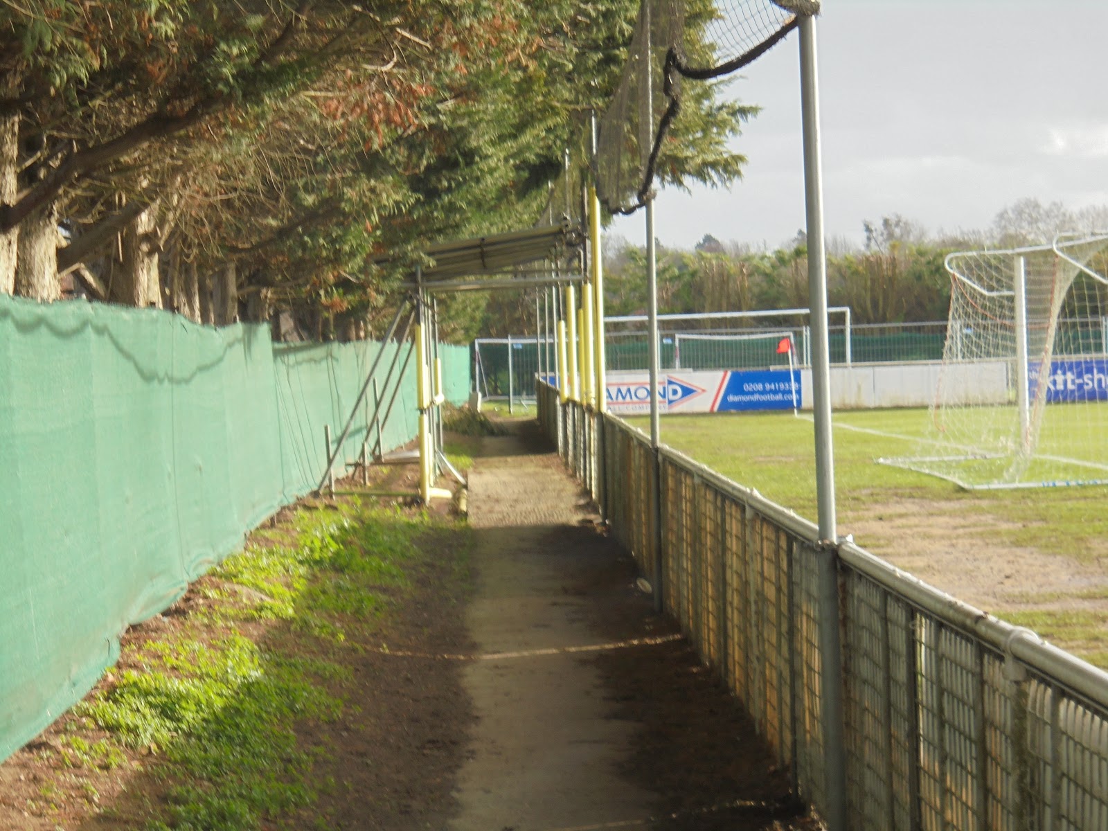 The Tortoise Travels: Cobham - Reg Madgwick Stadium