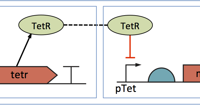 Jake Beal's Next Step: Standards are a Slow and Grinding Process