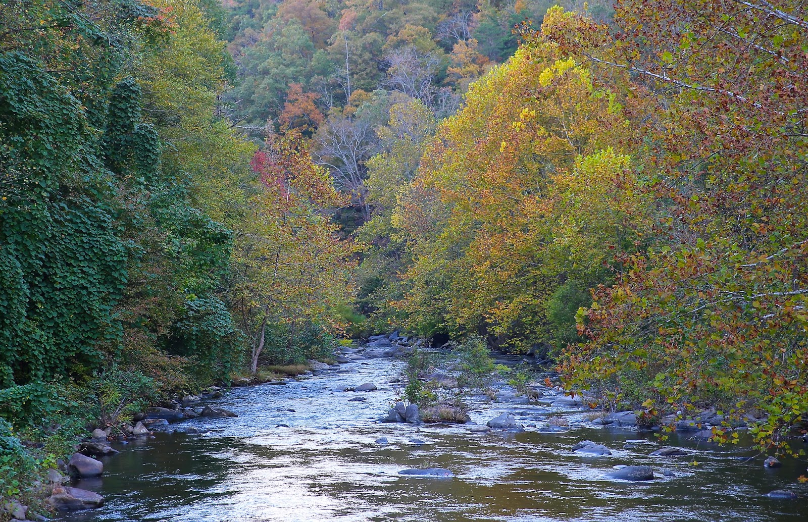 Sweet Southern Days: Parson Branch Road In The Great Smoky Mountains ...