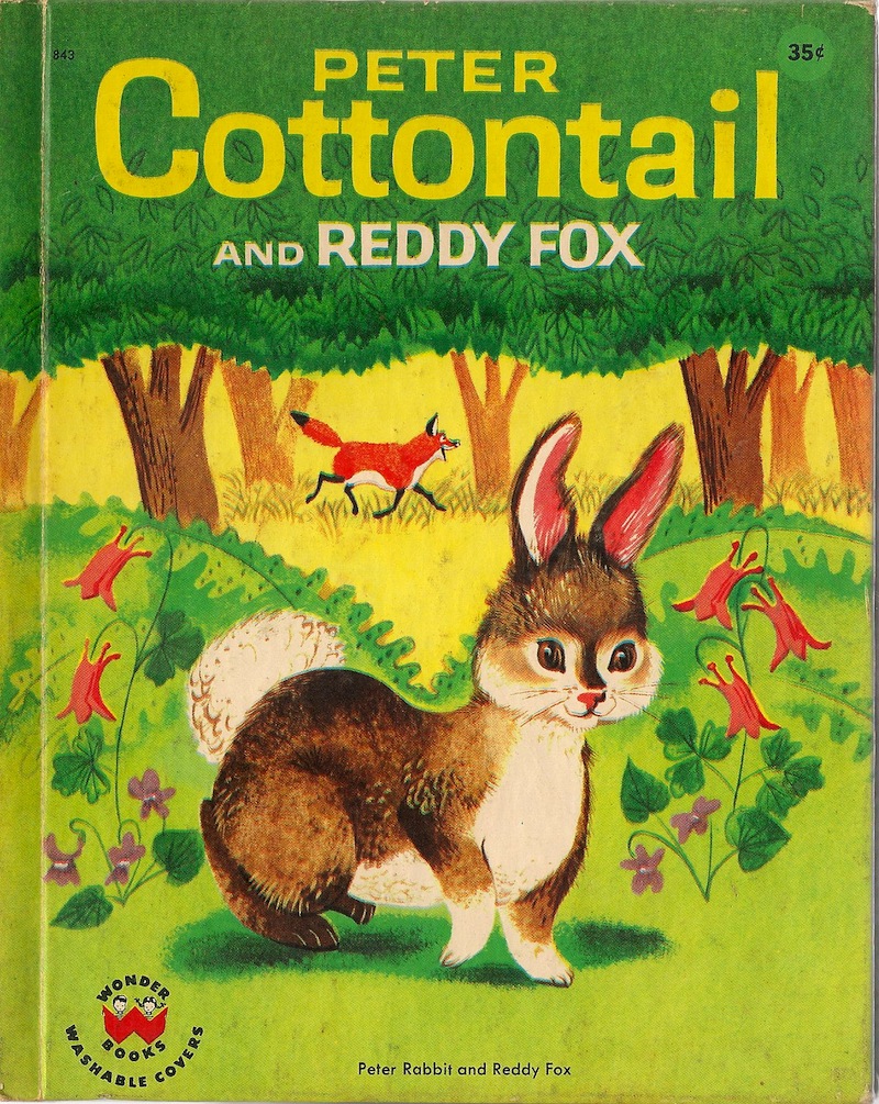 The Secret World of Hazel Catkins: Peter Cottontail and Reddy Fox