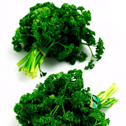 ZÁZRAK JMÉNEM PETRŽEL