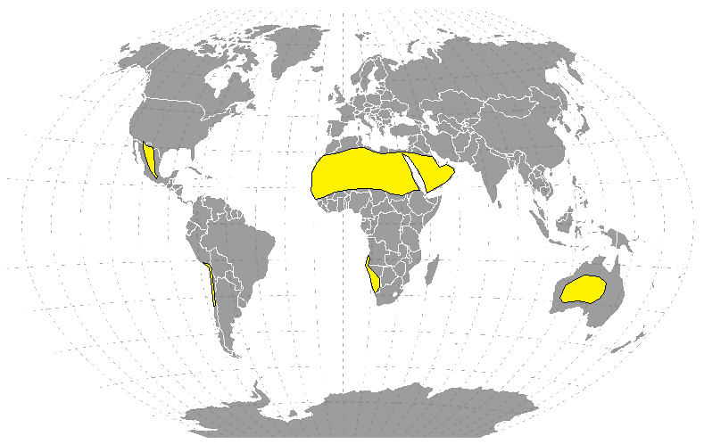 GEOGRAFILIA: Zonele biogeografice: zona caldă