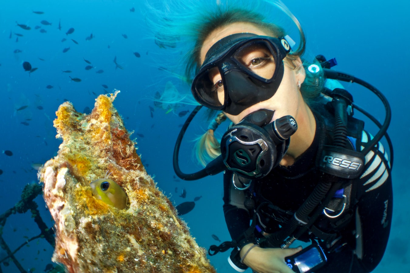 Women Divers Hall of Fame Awards Training Grants