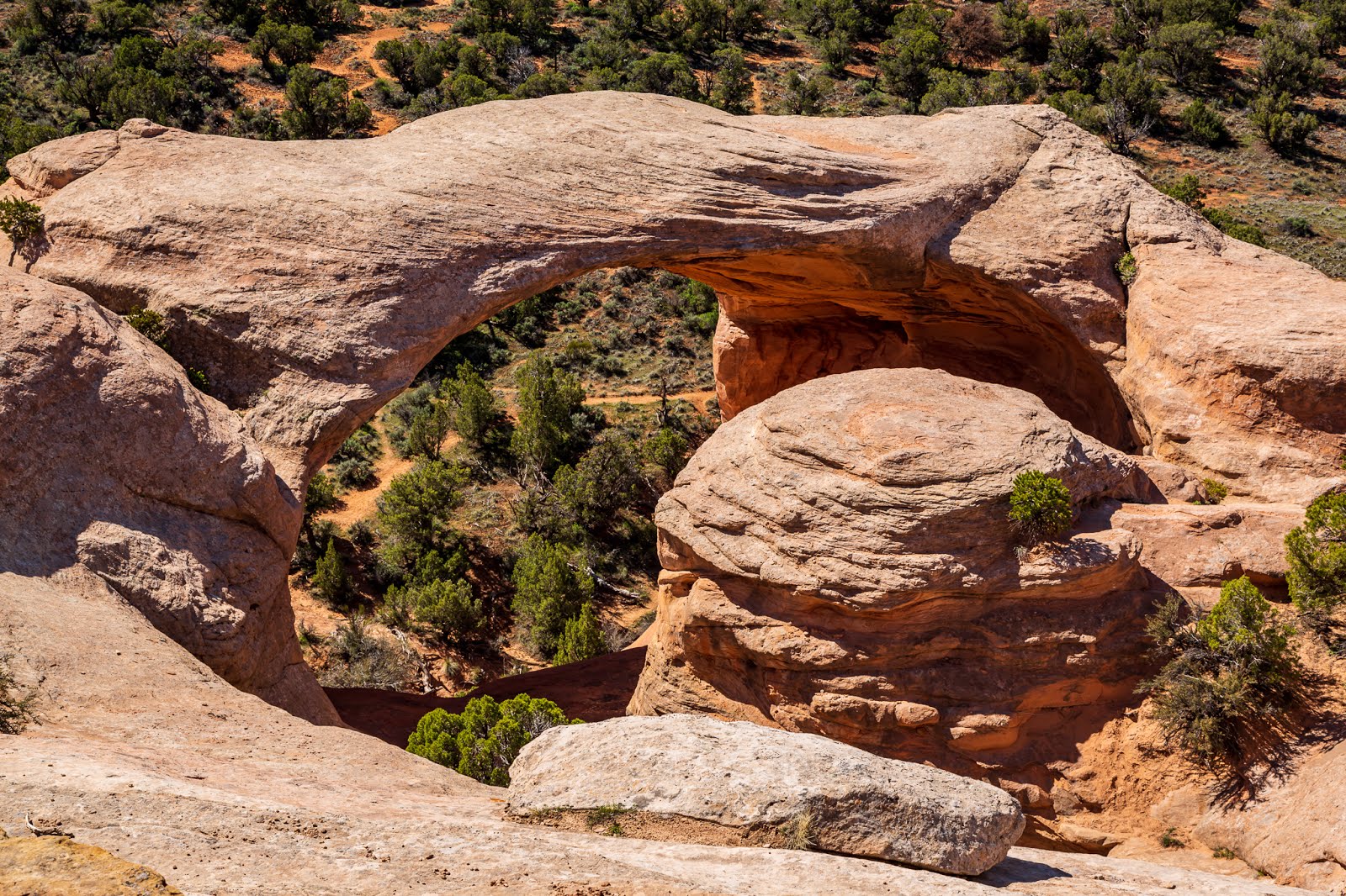 Just Our Nature: Rattlesnake Arches (April 20, 2019)