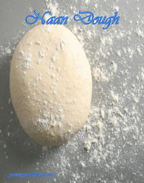 Naan Dough Recipe - Yummy Traditional