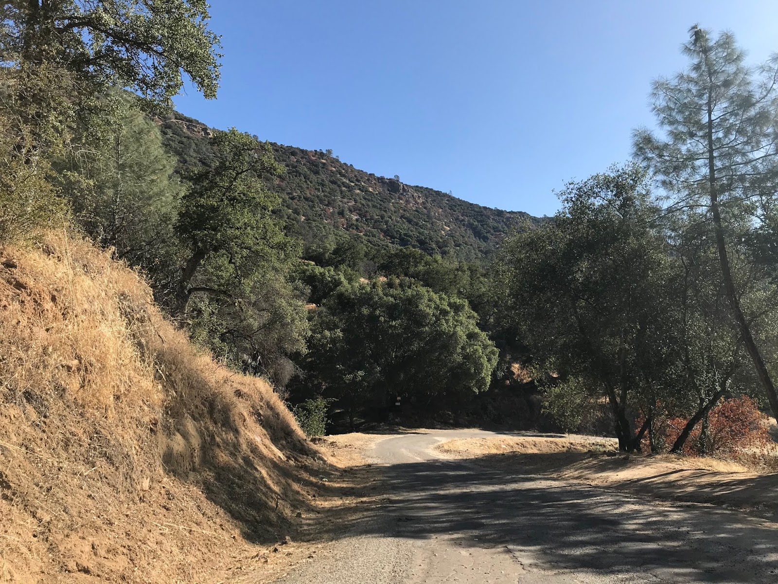 Italian Bar Road (Road 225) east through the Geographic Center of ...