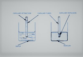 Capillary and Capillarity