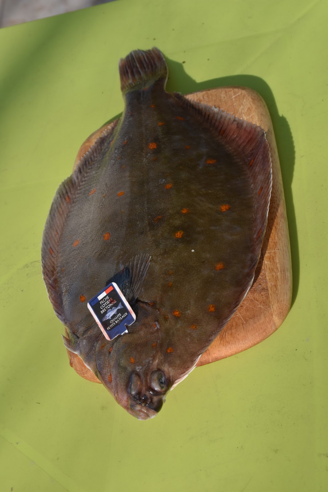 eseuri culinare: Cambula la cuptor cu sos de portocale si sofran