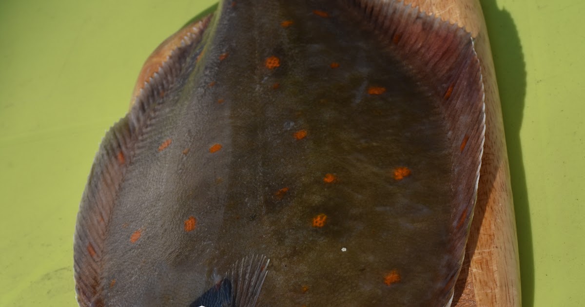 eseuri culinare: Cambula la cuptor cu sos de portocale si sofran