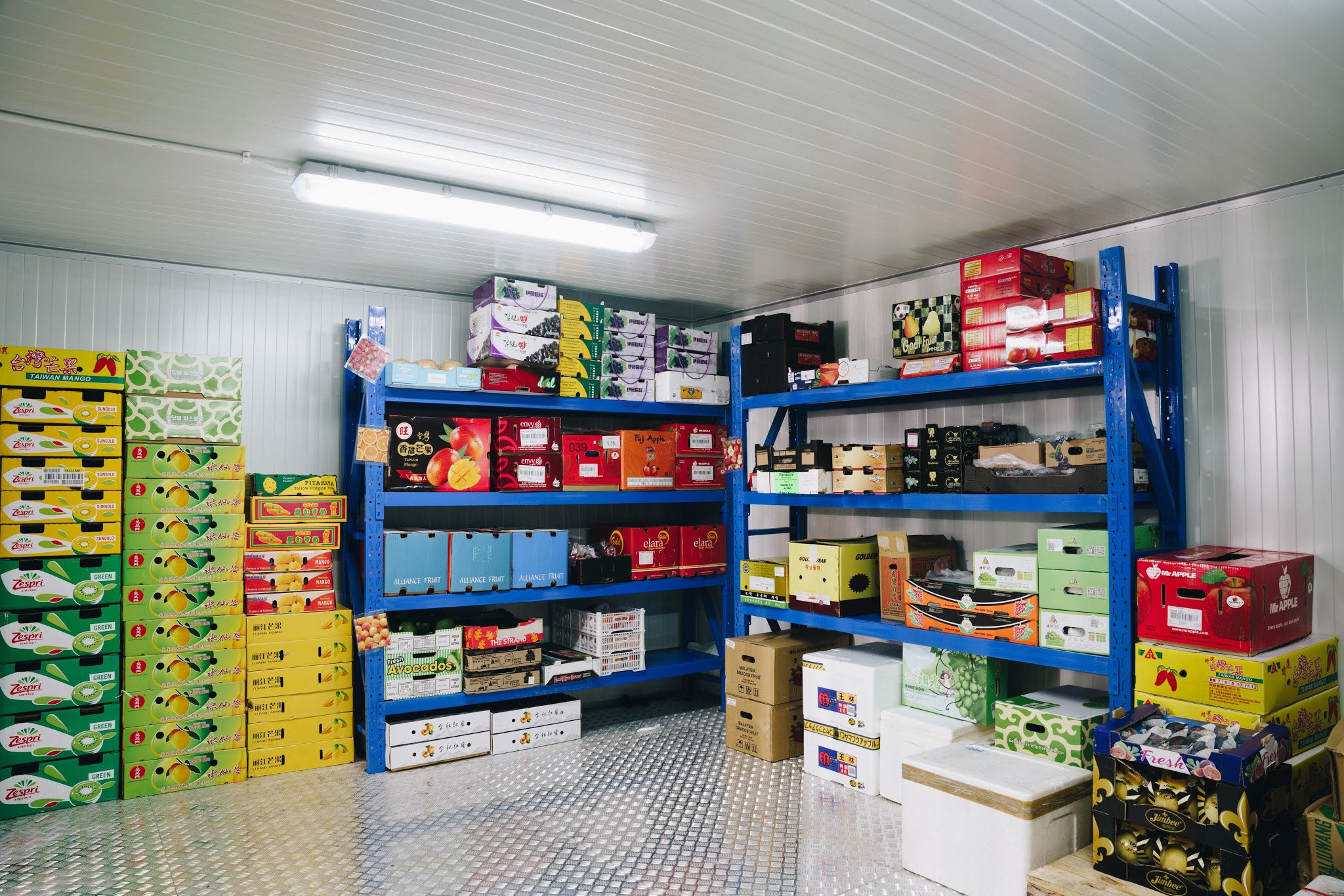 Picture Credits to Owari Photography