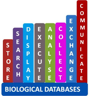 MCQ on Bioinformatics- Biological databases