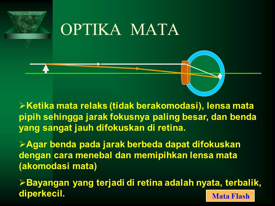 CATATAN MATERI KELAS 8: ALAT OPTIK MATA