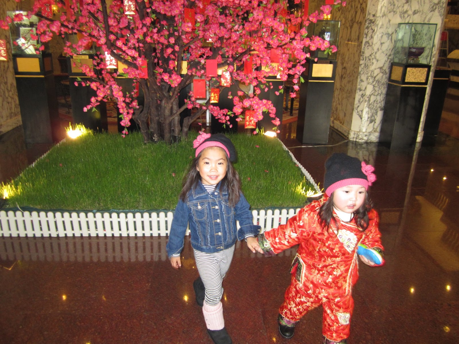 Joy in the Journey: SPOTLIGHT: Adopting From China