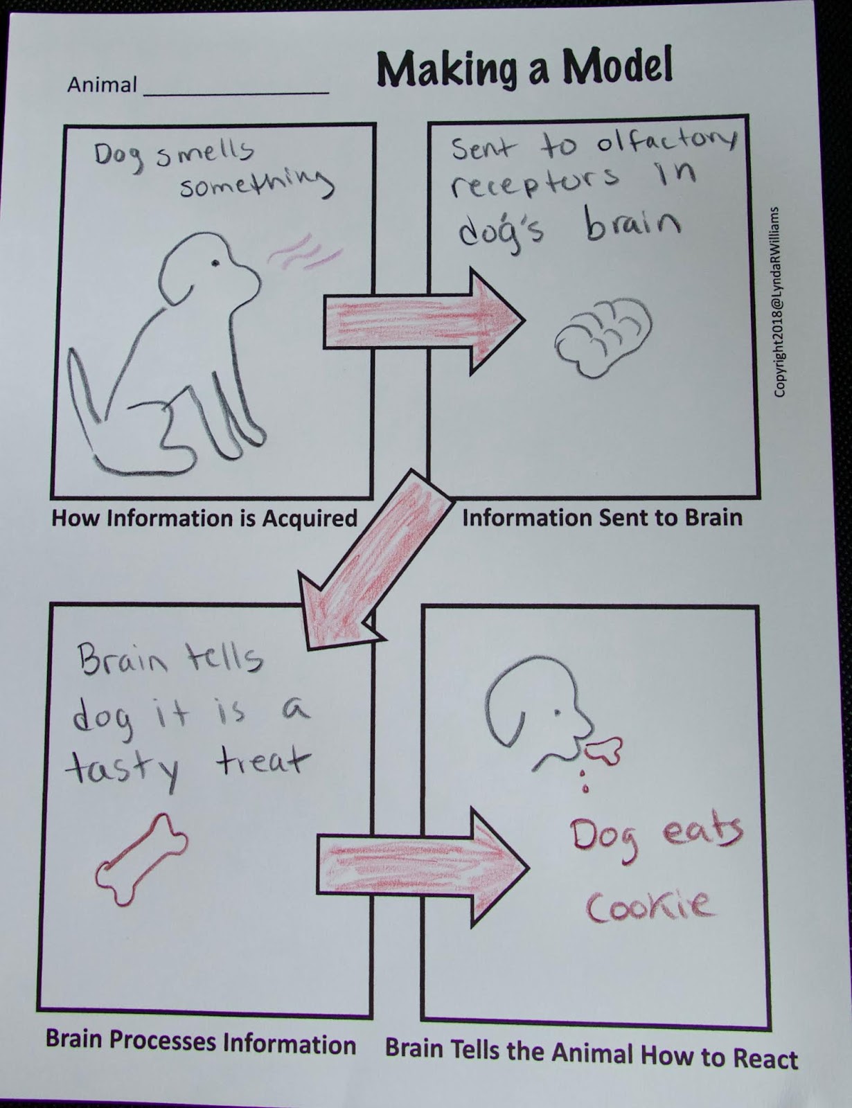 4th Grade NGSS Lessons and Units - Teaching Science with Lynda R. Williams