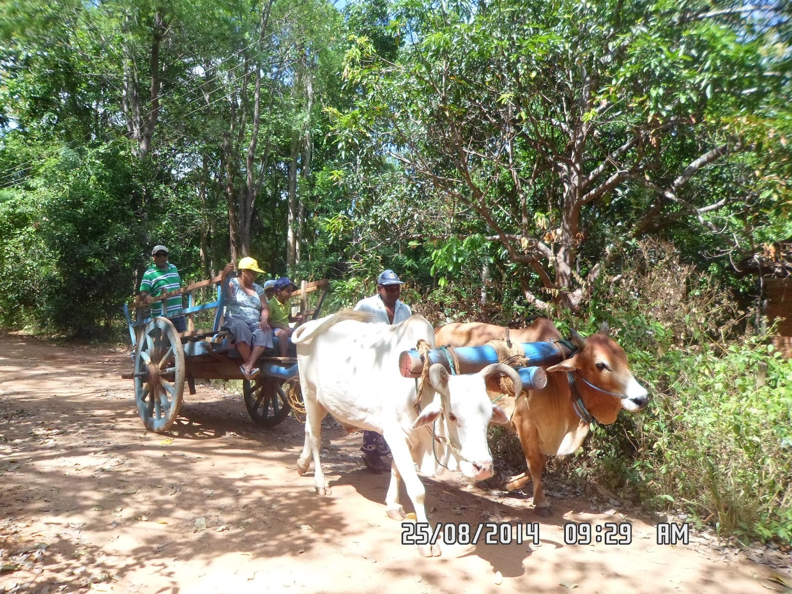 Kamatha Eco Lodge: About Kamatha Eco Lodge