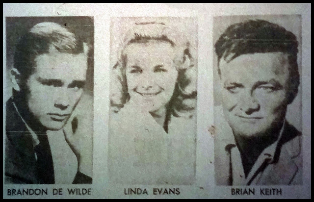 NEXT STOP...DECATUR: Remembering The Martin's Eastgate / Suburban Plaza ...