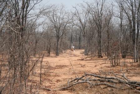 Musim Kemarau Panjang