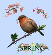 The Little White House On The Seaside: Banana Muffins A La Magali