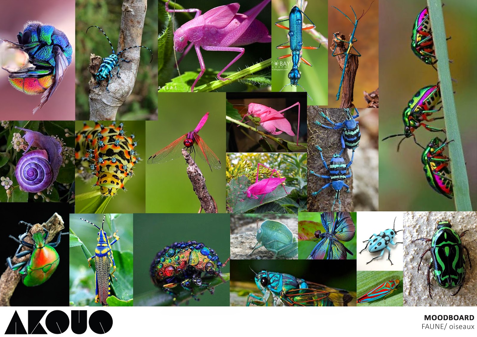 AKOUO: Mood Boards