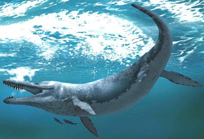 My Prehistoric Saga: Size Calculations for Pliosaurs: