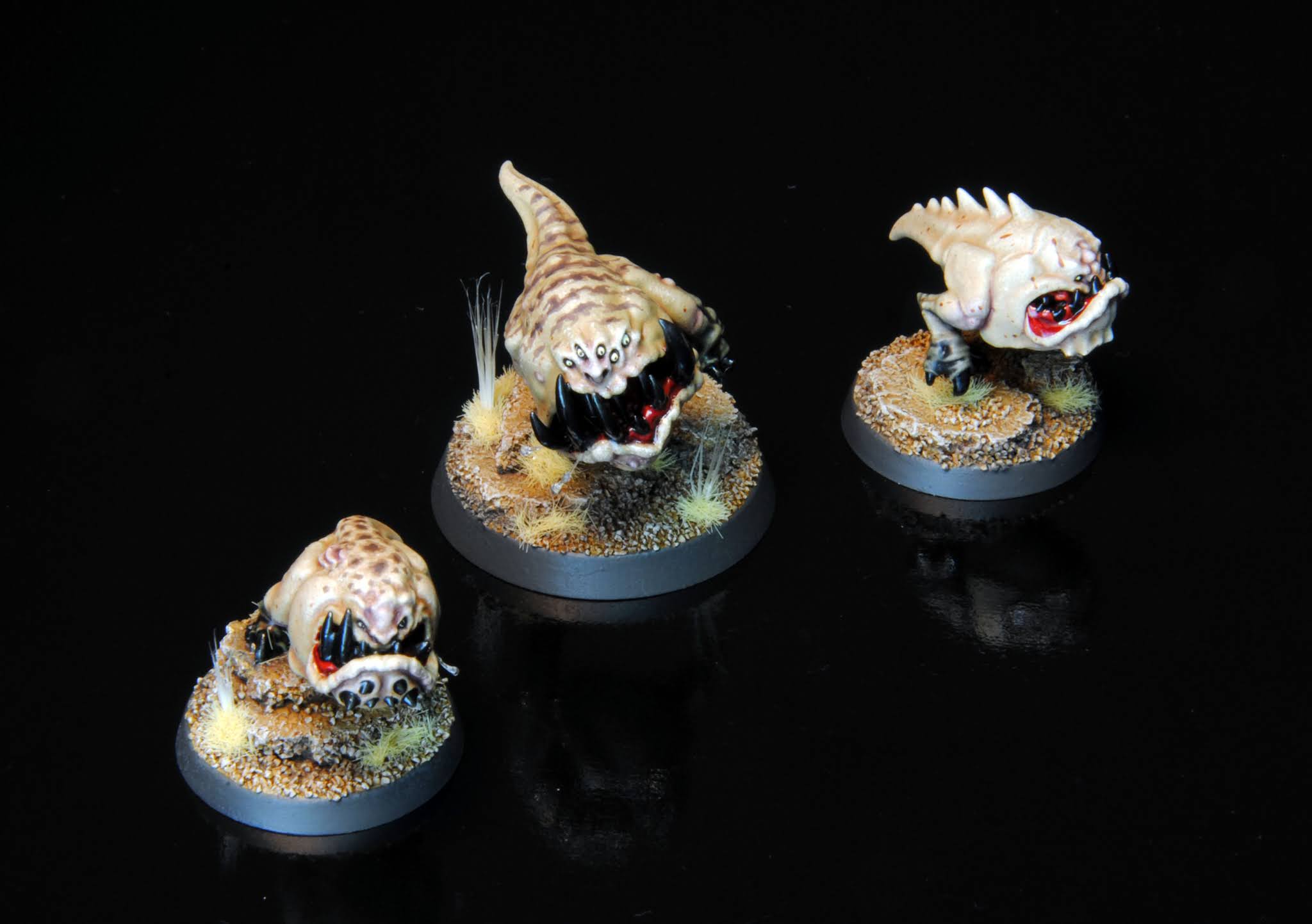 Le Blog dé Kouzes: Wild Squigs