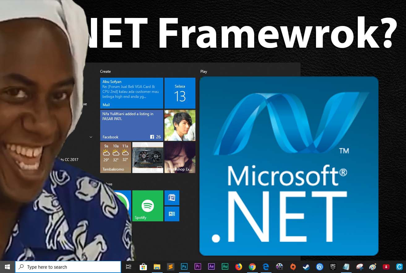 Windows 10 Net Framework Lanetamatch