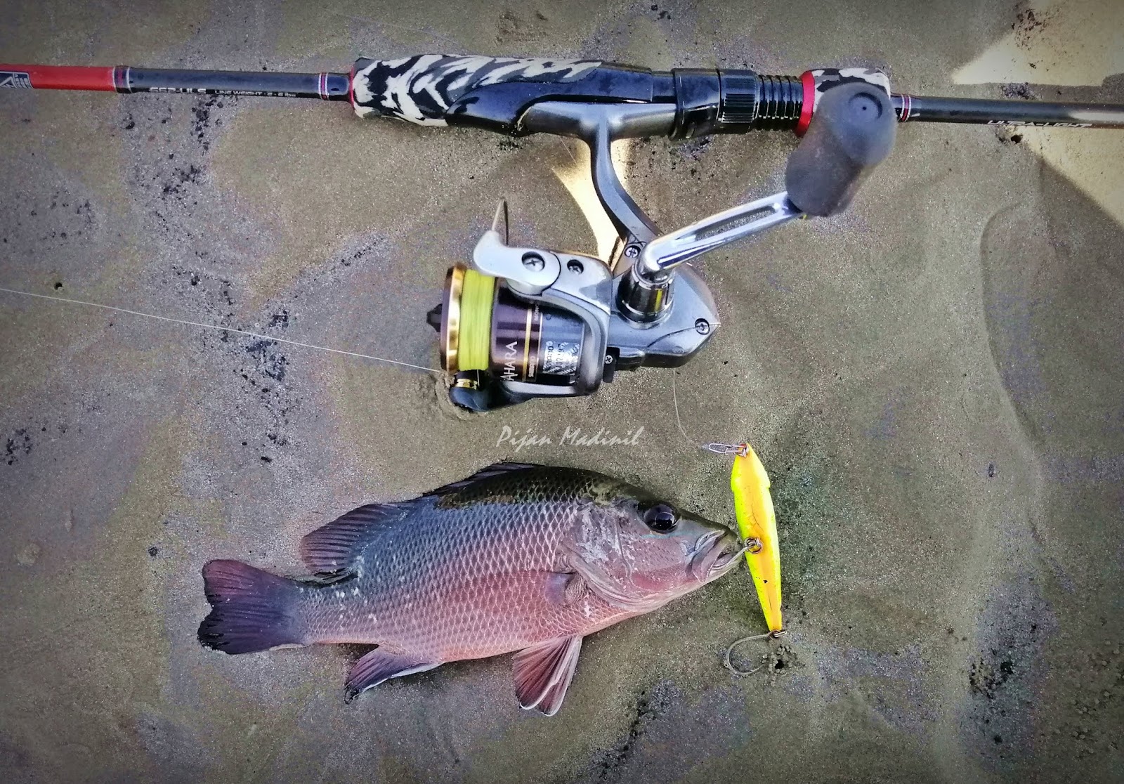 The Other Side of Me: Ikan Siakap Merah @ Mangrove Jack (MJ) #01-02/2019