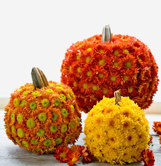 The Toast: Pretty Pumpkins.