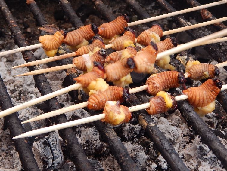 TURISMO CANTÓN ARCHIDONA : GASTRONOMÍA TRADICIONAL