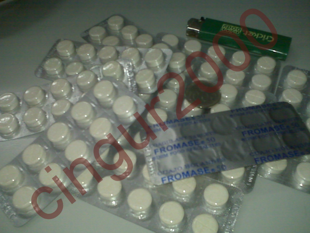 rennet-id ( Vegetable Rennet / Enzim Renin ): Jual Biang Keju