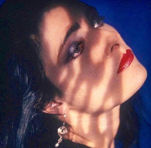 5 CURIOSIDADES SOBRE SIOUXSIE SIOUX ~ Fanzine Brasil