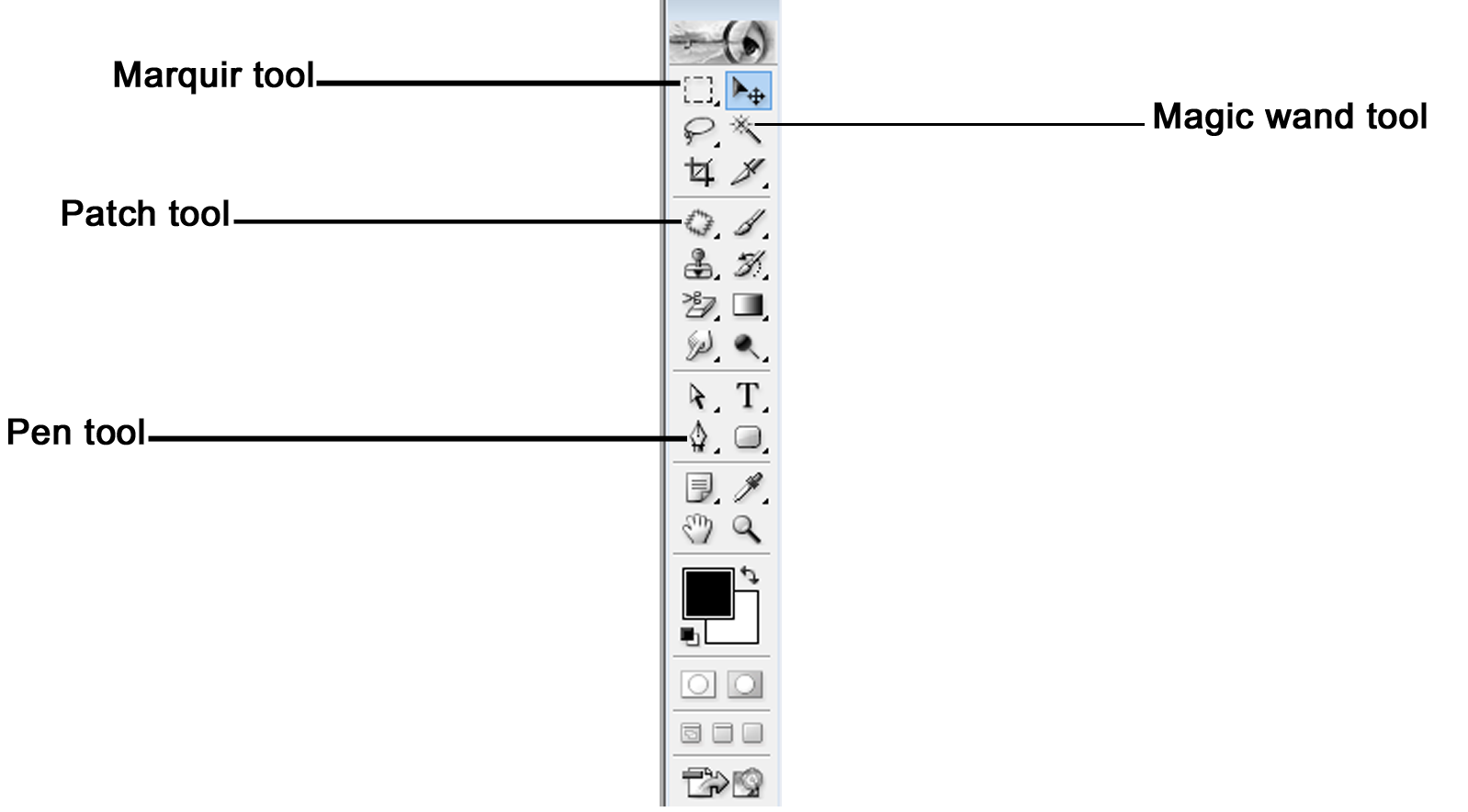 क्या हे सिलेक्शन टूल photoshop में (What is photos selection tool in ...