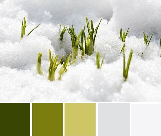 Knit 'n Pearl: Scandinavian Spring in Color Charts