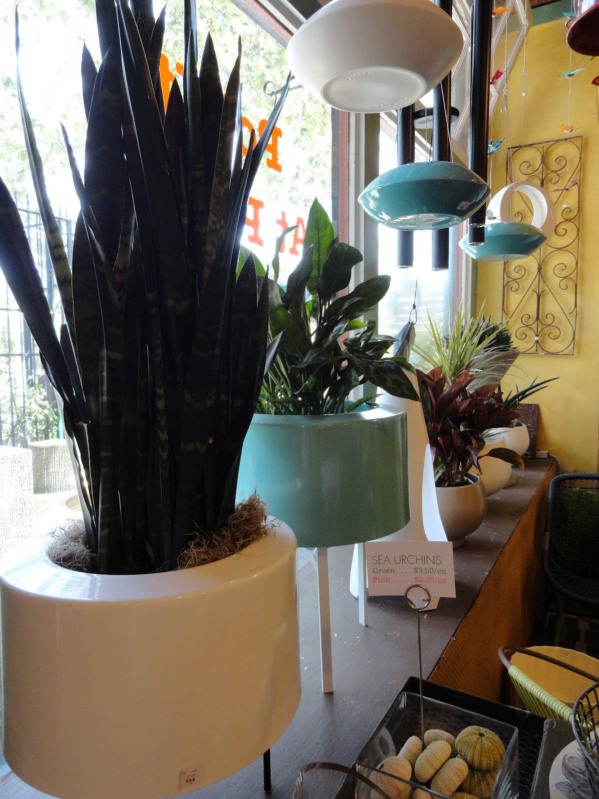 danger garden: My visit to Potted (for outdoor living) in L.A.…