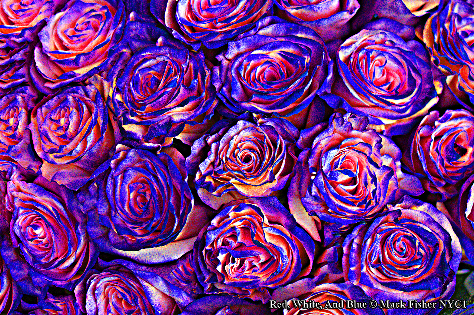 Beyond The Image™: Red, White, And Blue • American Photographer Mark ...