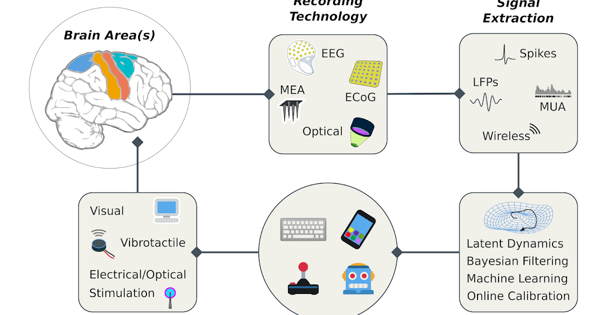 mrule-intheworks: Brain–Machine Interfaces: Closed-Loop Control in an Adaptive System