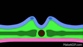 Biología 2 C201: Semana 4 del Semestre 2020B