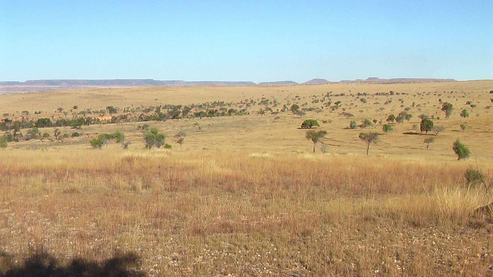 Ilakaka sapphire mine, l'histoire d'un front pionnier exceptionnel: Des ...