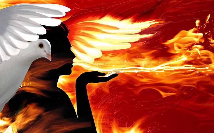 Reborn 2 Write: Renewing Your Mind by Fanning the Flame