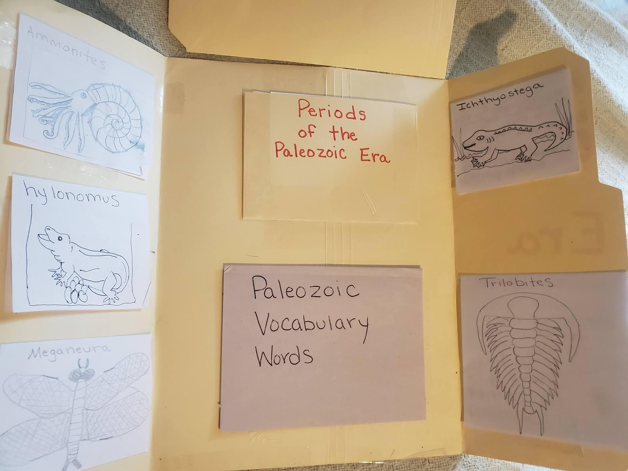 Learning About Geologic History- The Paleozoic Era
