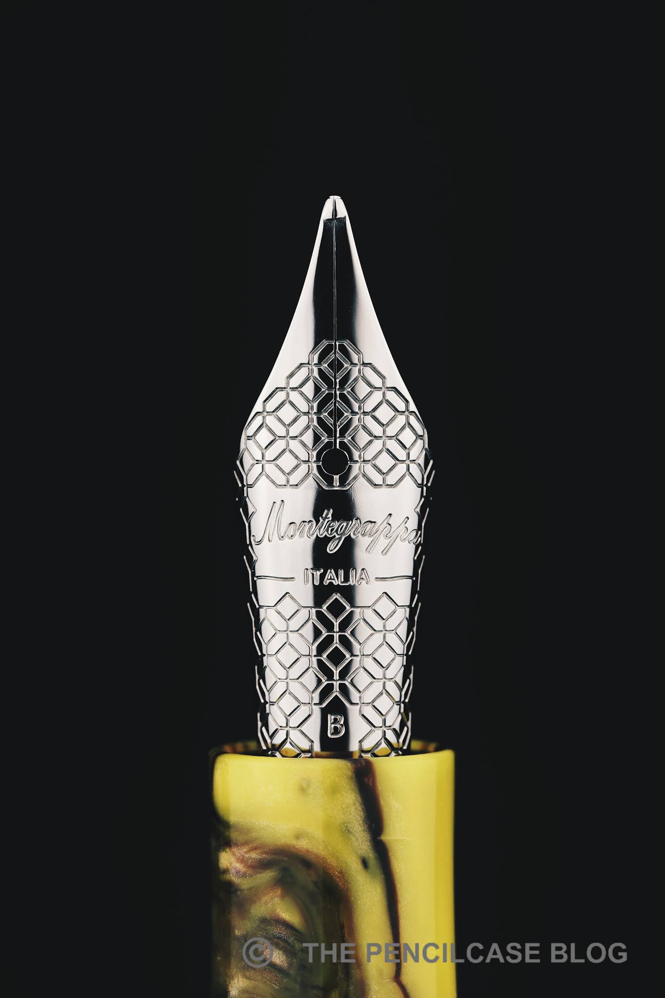 REVIEW: MONTEGRAPPA ELMO FANTASY BLOOMS FOUNTAIN PEN | The Pencilcase ...