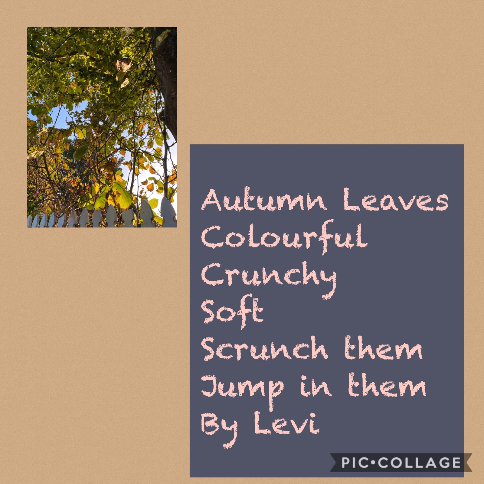 We Learn Through Play in Room 1: Leaf Poems