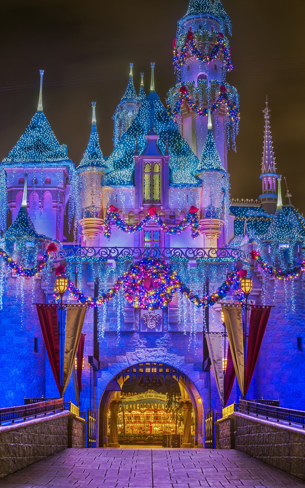 Disney Photoblography